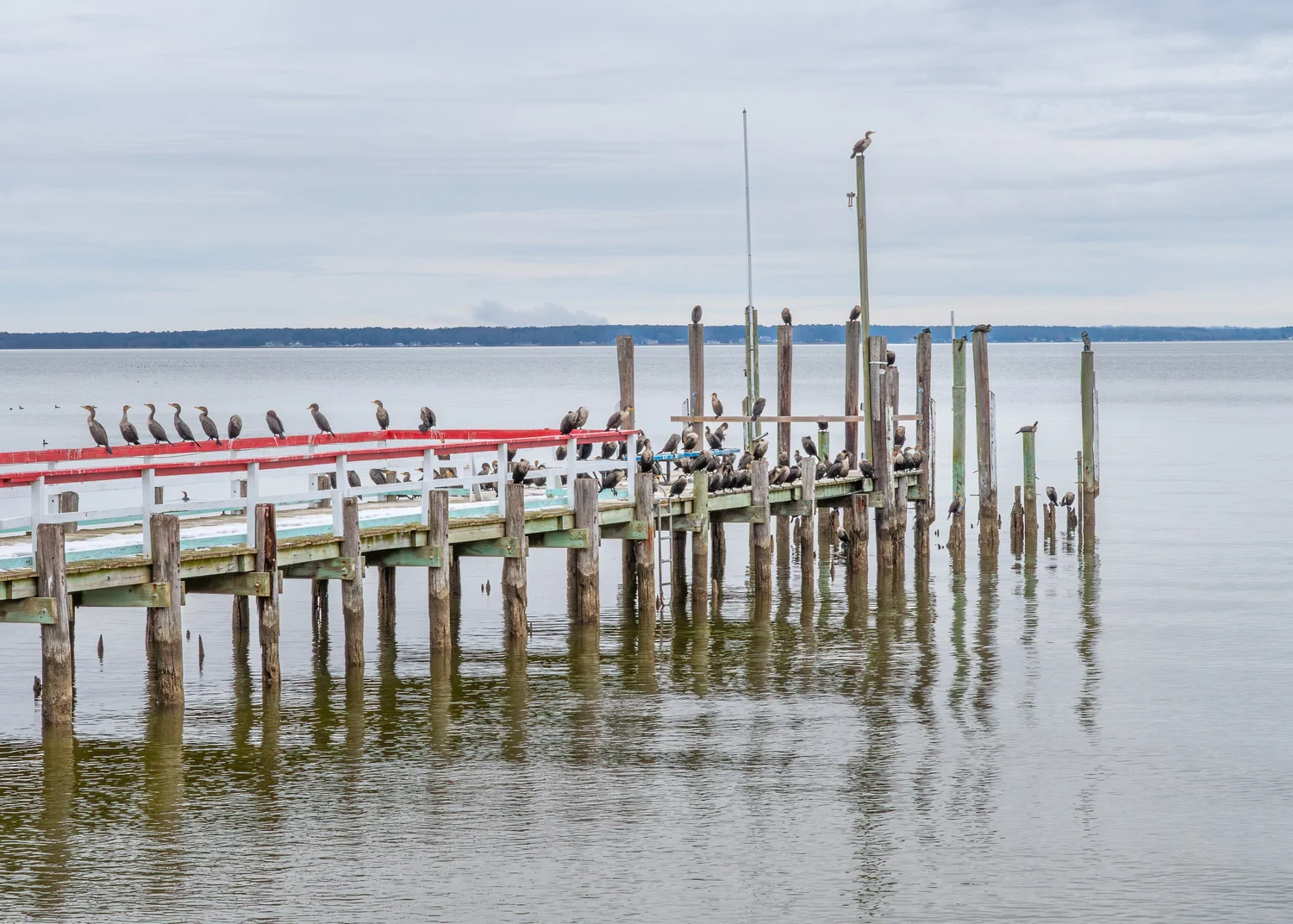 Colonial Beach in Winter — Todd Henson Photography