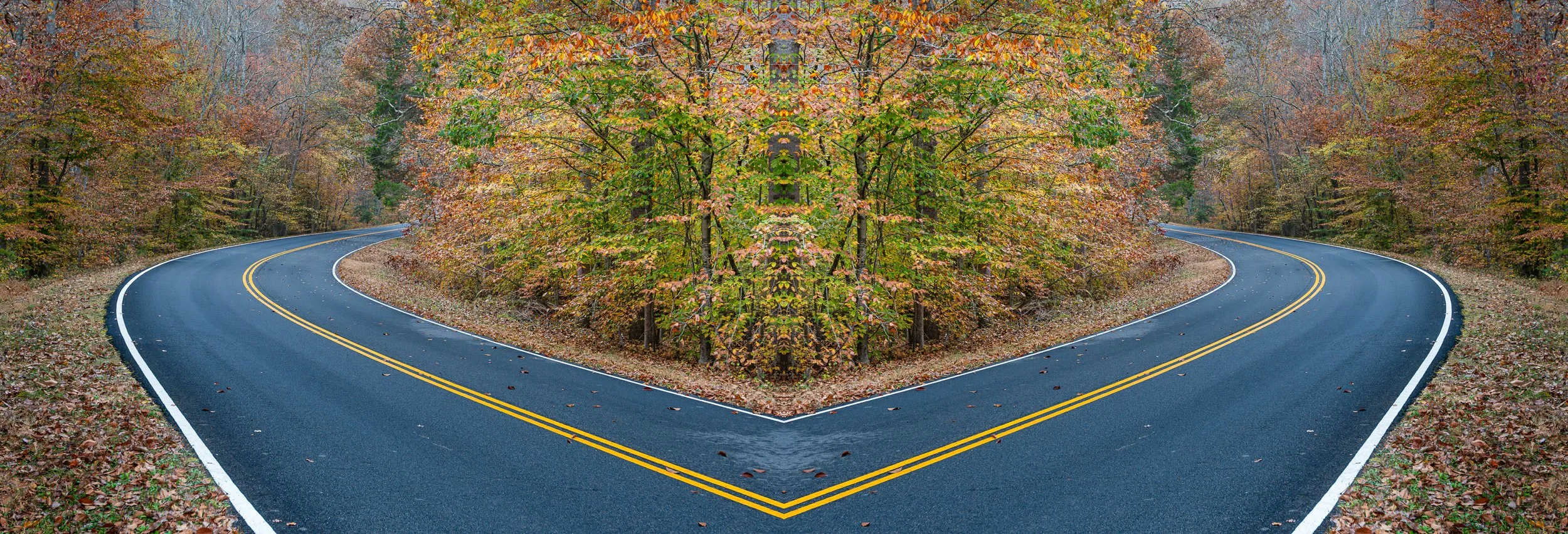 A Bend in the Road — Todd Henson Photography