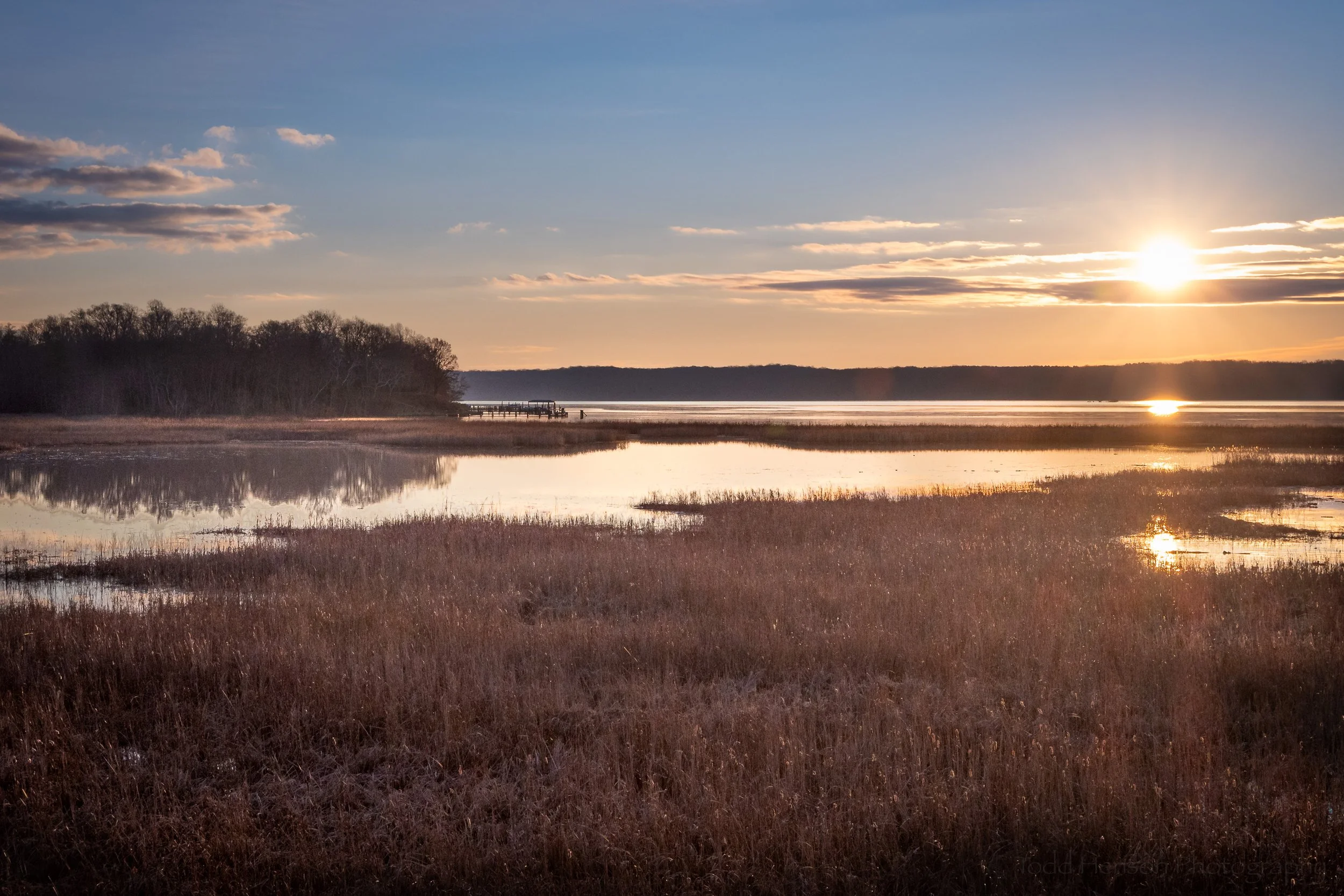 Sunrise, Mason Neck National Wildlife Refuge, January 2023 — Todd ...