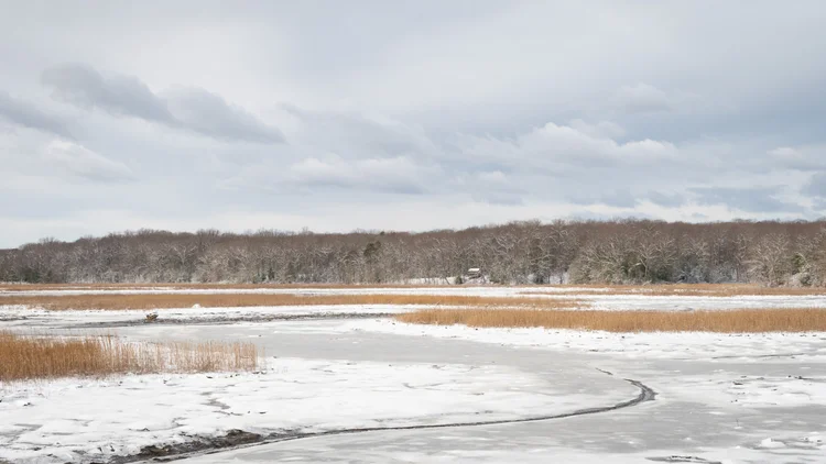 Mason Neck Great Marsh in Snow — Todd Henson Photography