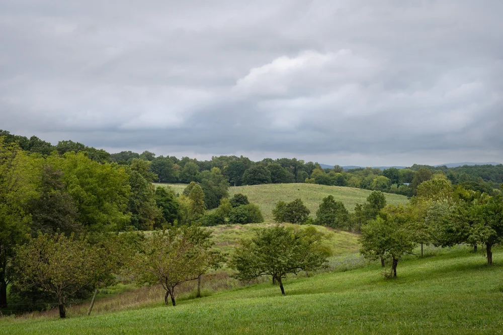 Lakota Ranch in Remington, Virginia — Todd Henson Photography