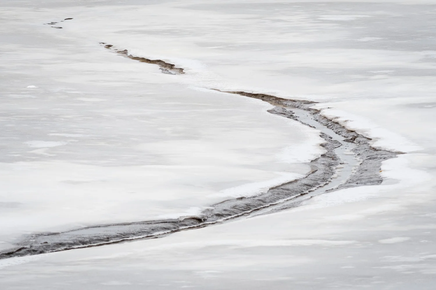 Mason Neck Great Marsh in Snow — Todd Henson Photography