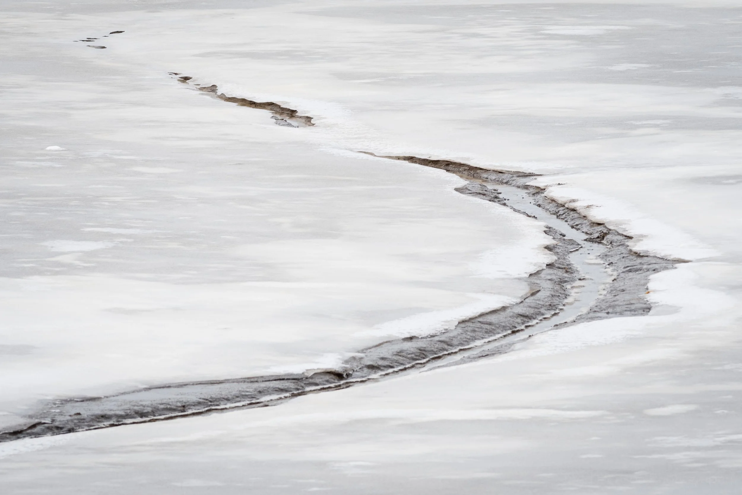 Mason Neck Great Marsh in Snow — Todd Henson Photography