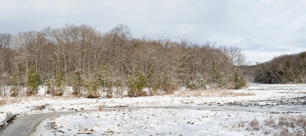 Mason Neck Great Marsh in Snow — Todd Henson Photography