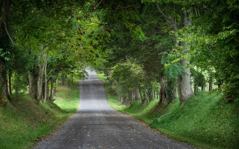 The Beauty of a Gravel Road — Todd Henson Photography