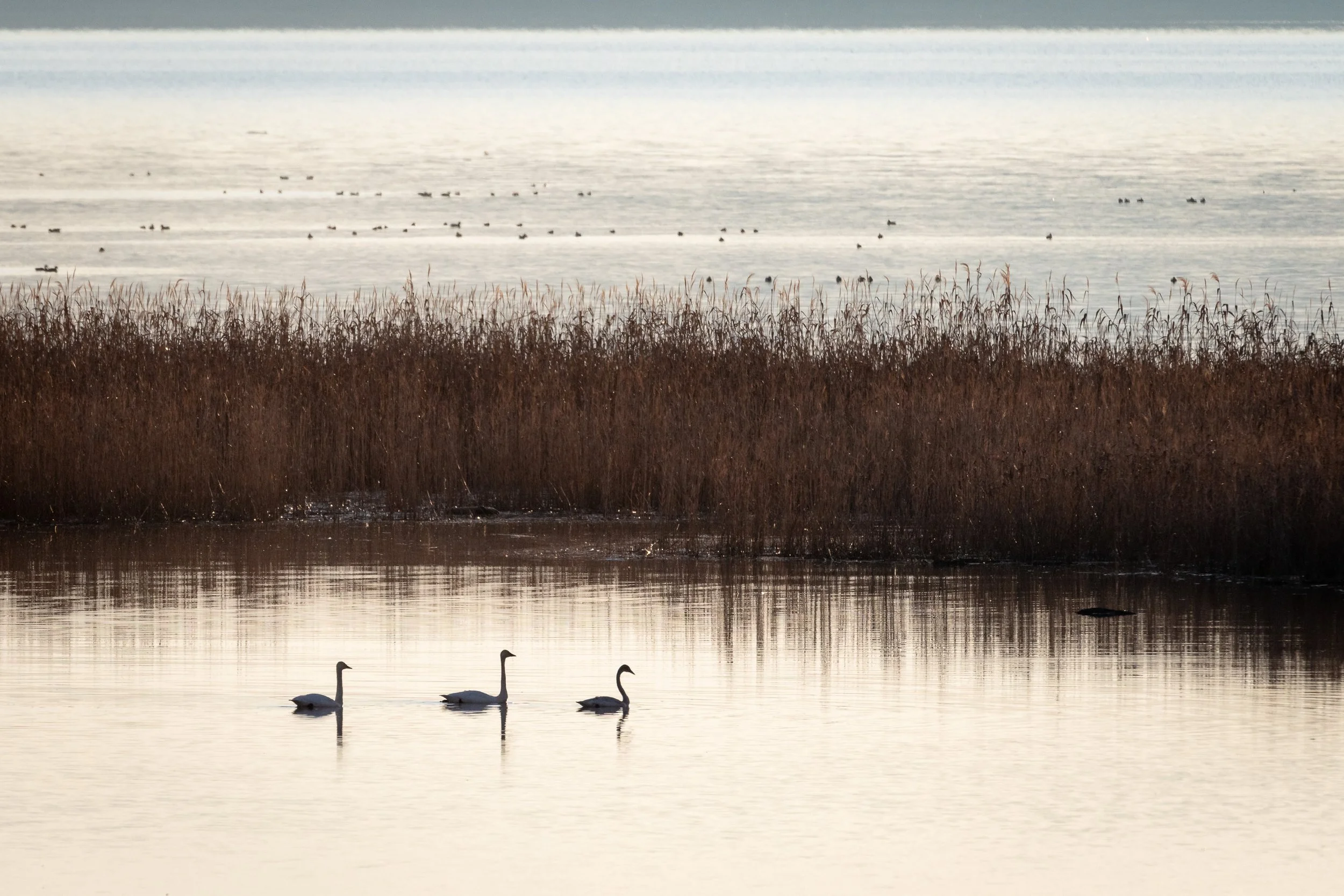 Best Photos of 2023: My Favorites of the Year — Todd Henson Photography