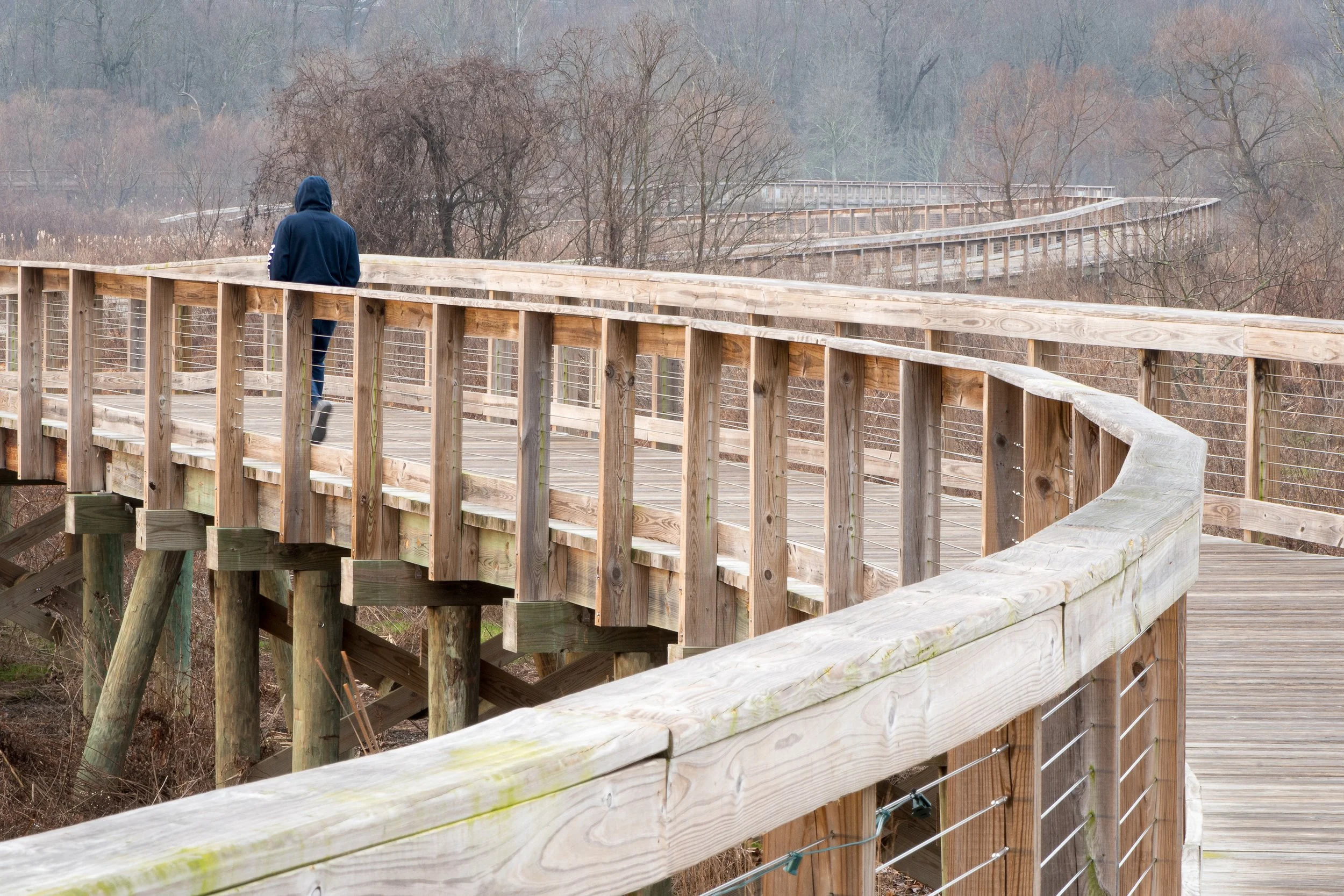 Opening Neabsco Creek Boardwalk New Years Day 2024 — Todd Henson ...