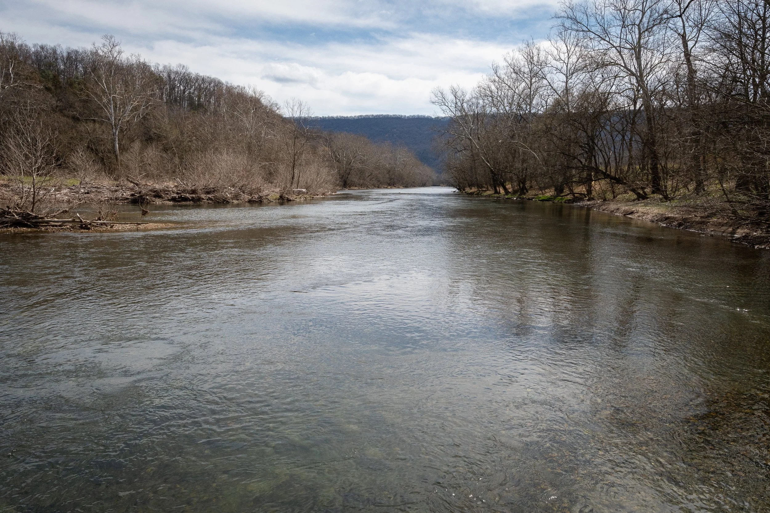 First Visit to Seven Bends State Park, Virginia — Todd Henson Photography