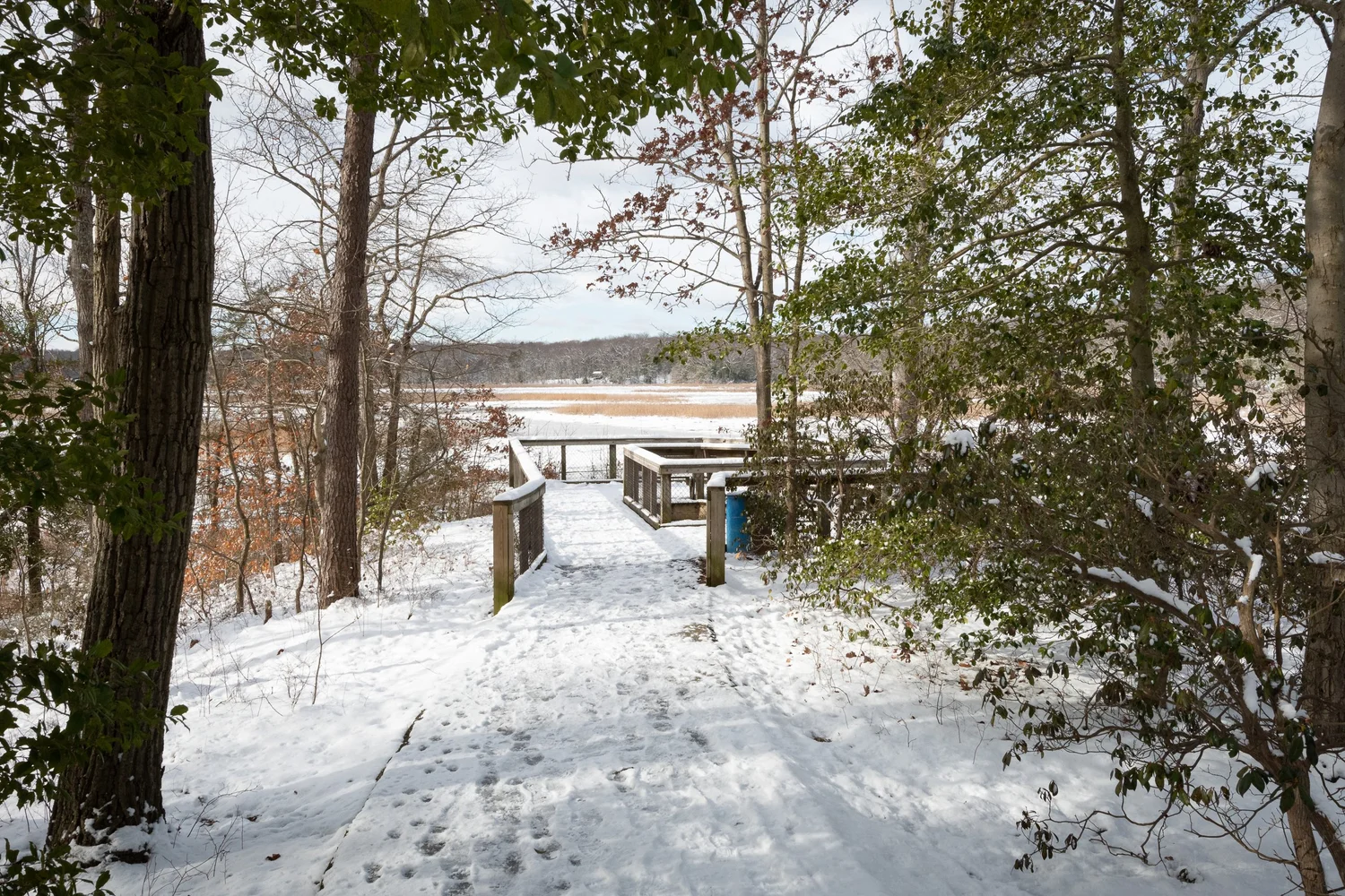 Mason Neck Great Marsh in Snow — Todd Henson Photography