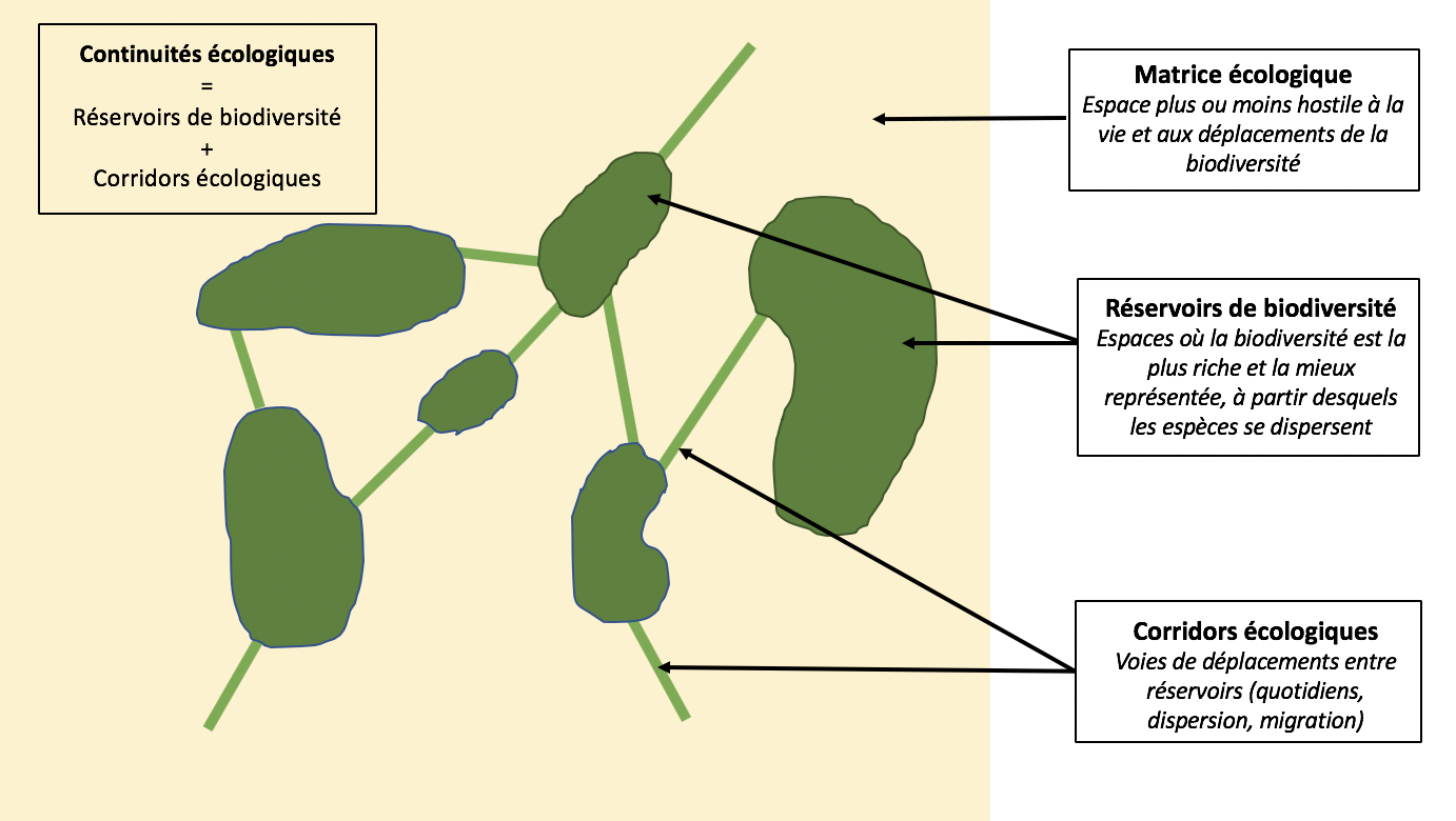 Comment évaluer une trame verte et bleue