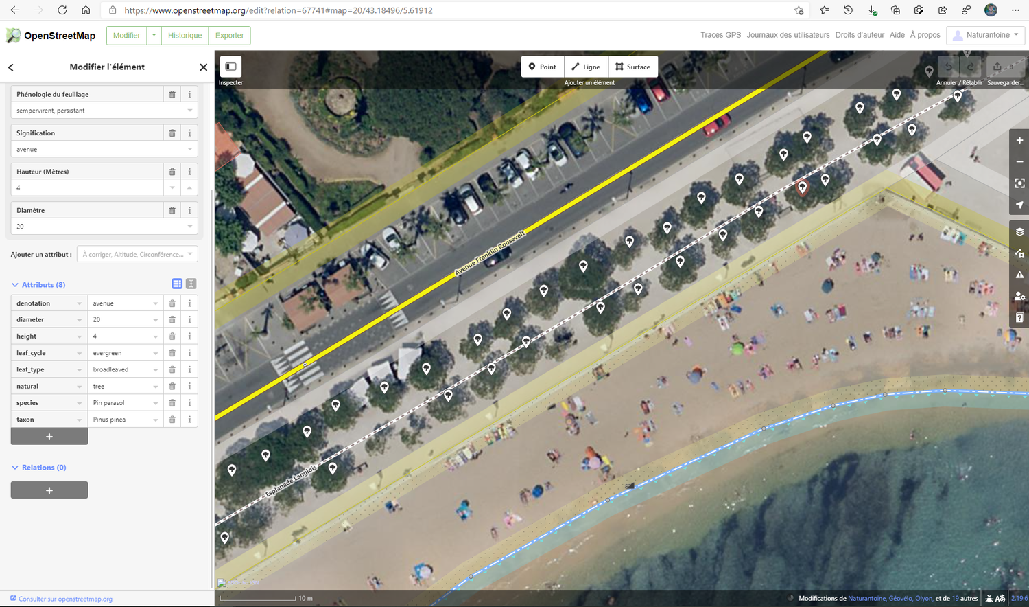 How to import tree data into OSM?