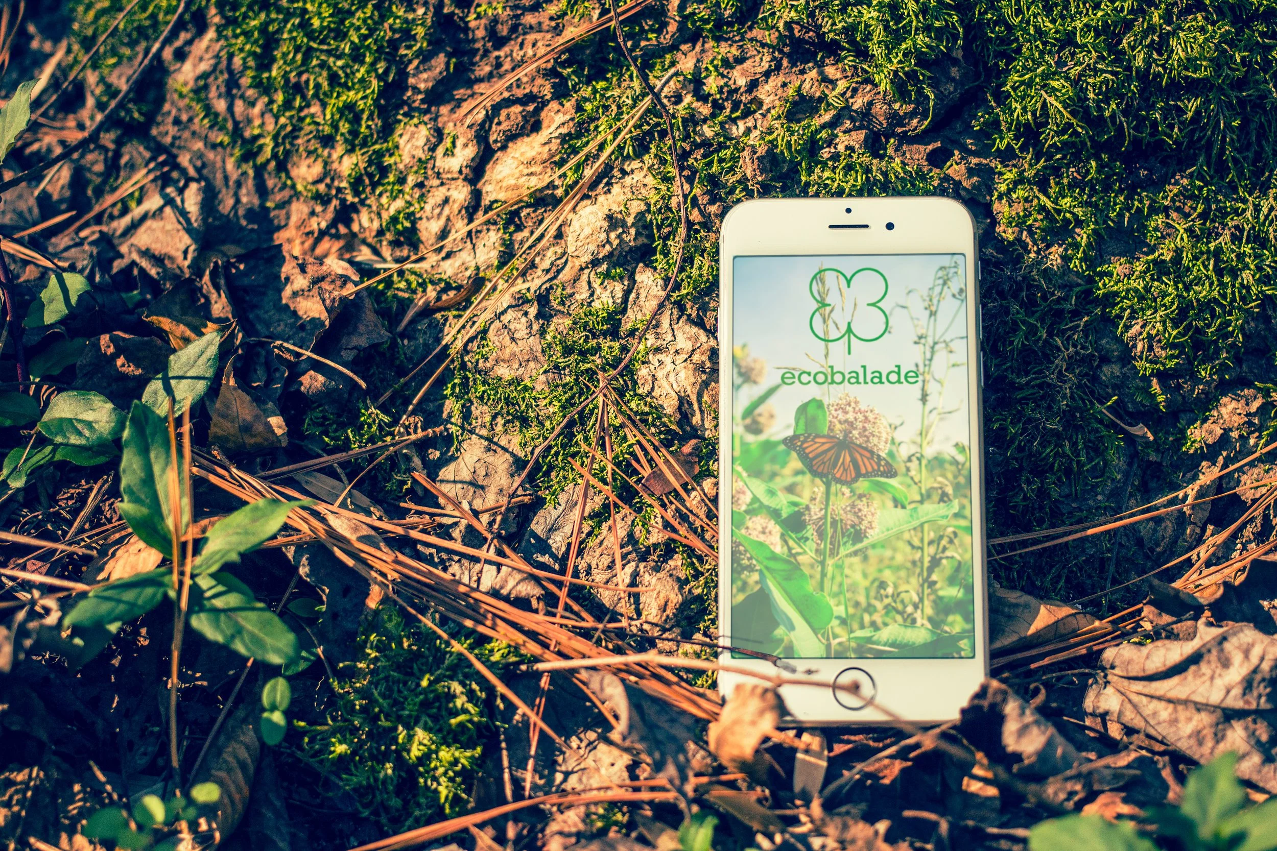 Espace Nature Aveyron : L'application mobile pour découvrir l'Aveyron ...