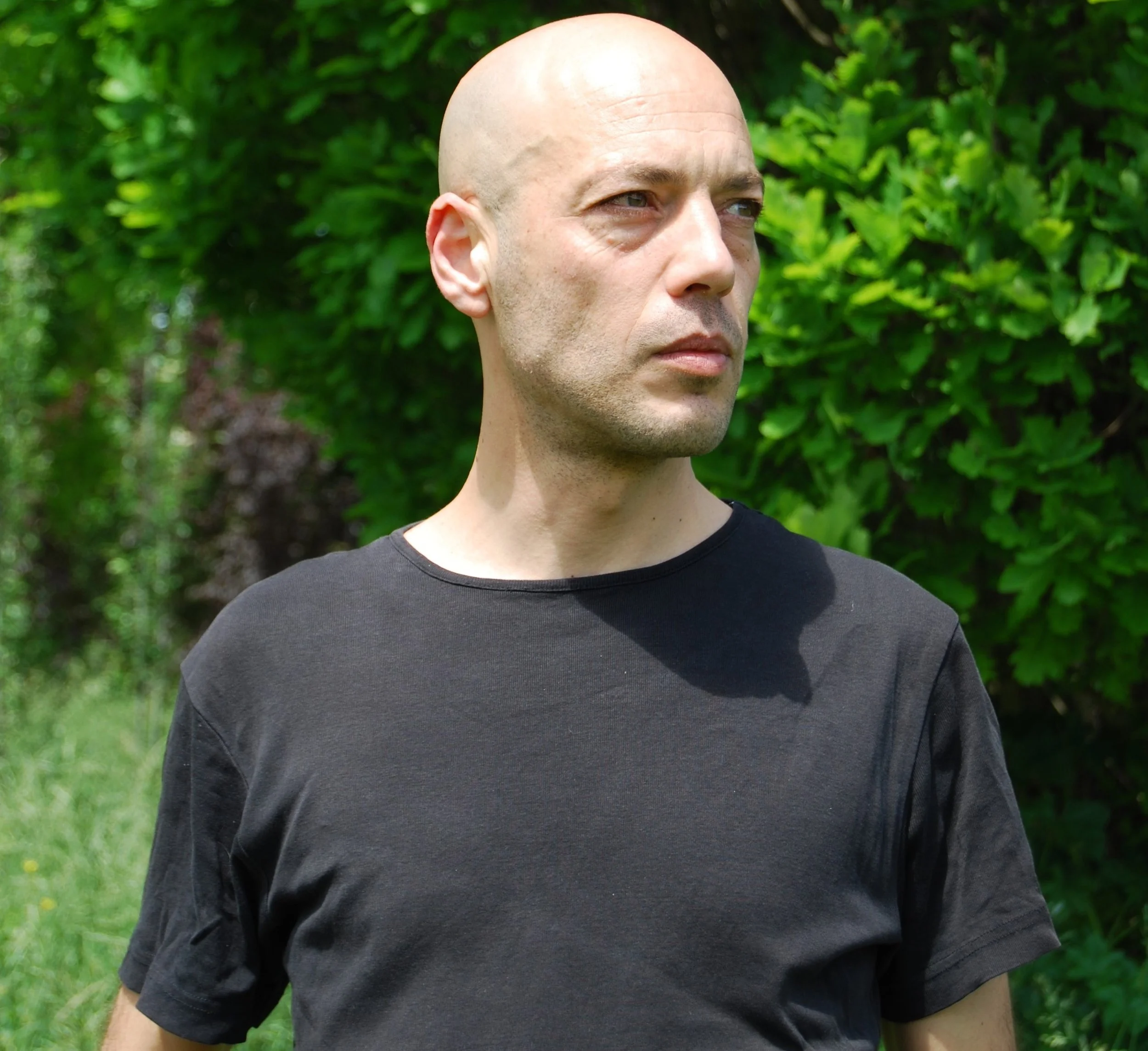 Qu'est-ce qu'une charte de l'arbre