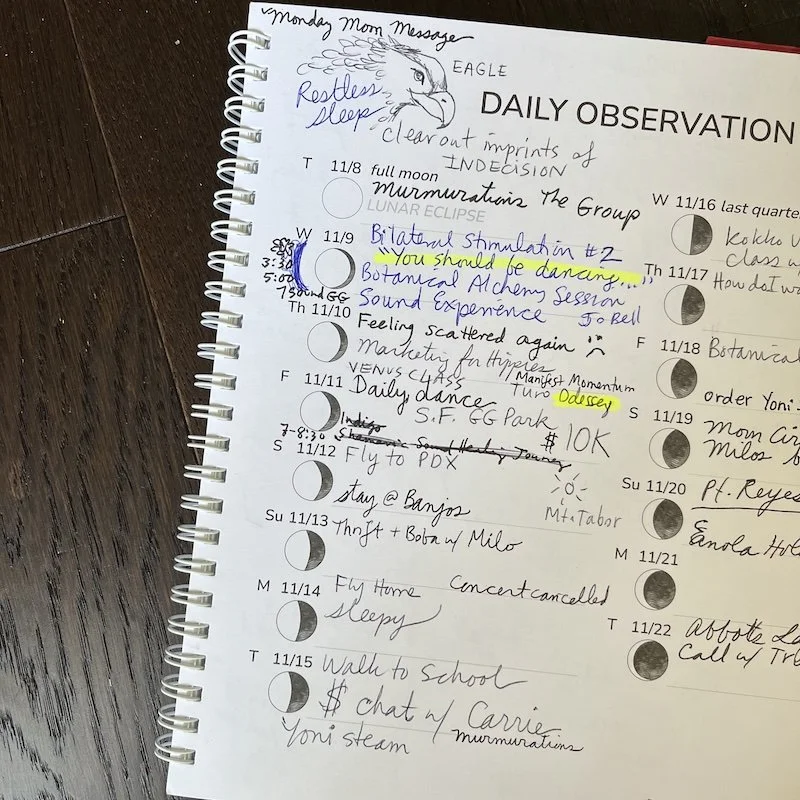 lunar tracking — THE MOON IS MY CALENDAR