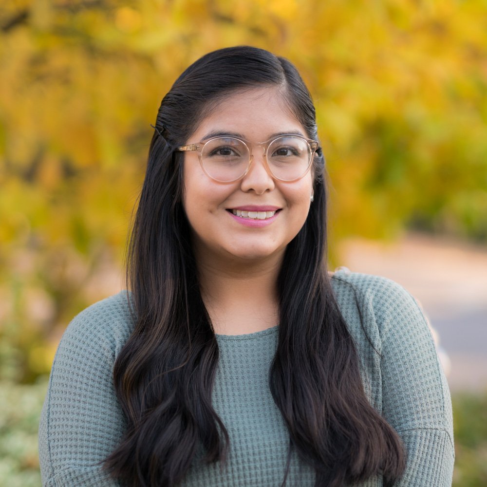 Child Counseling - Cary, Holly Springs, Wake Forest & Raleigh Area