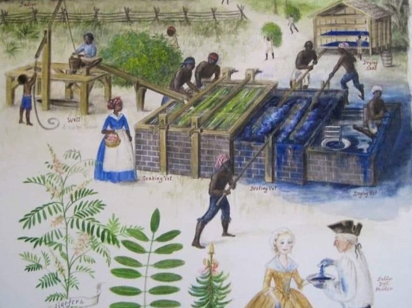 Colonial Indigo Plantation