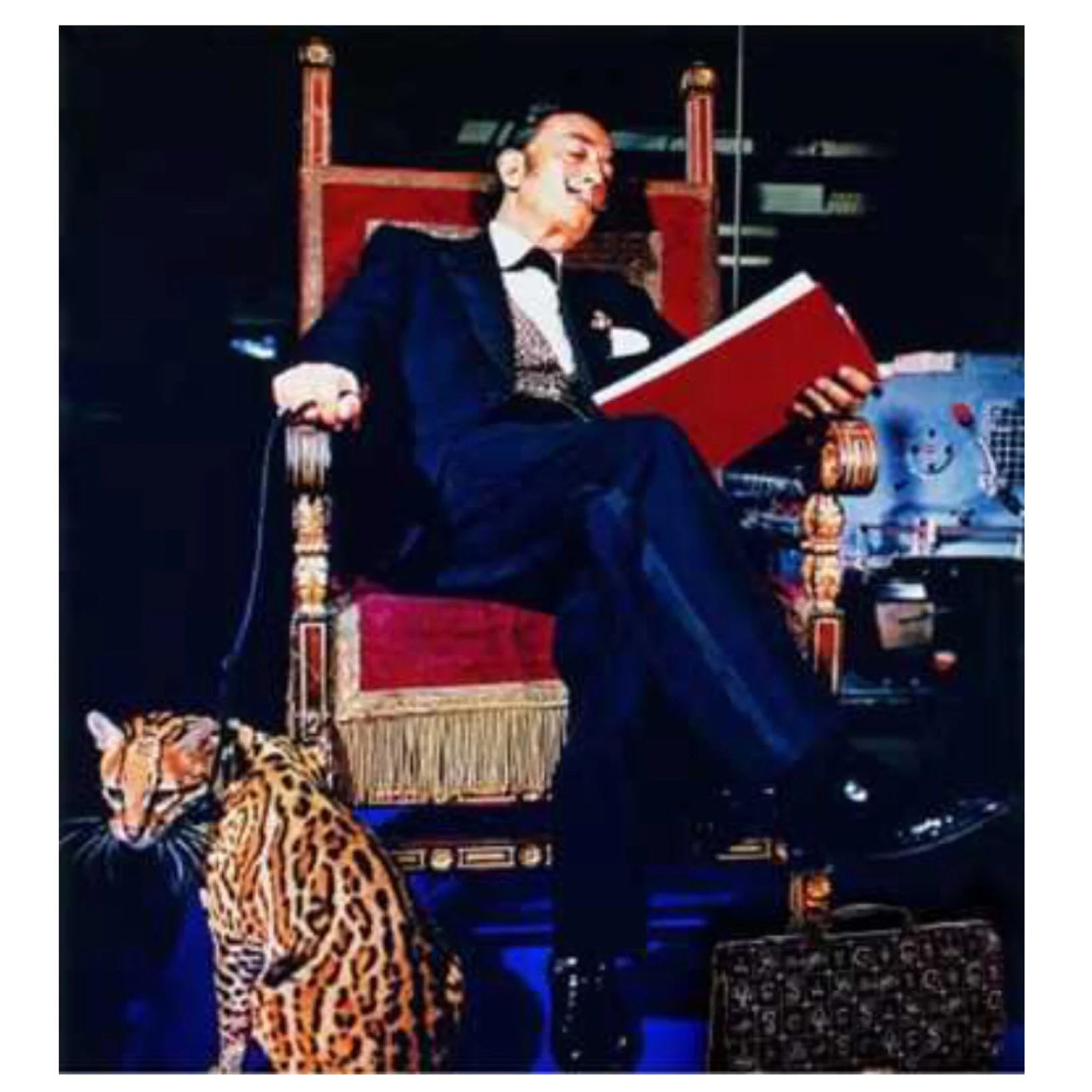 Babou The Ocelot Dali