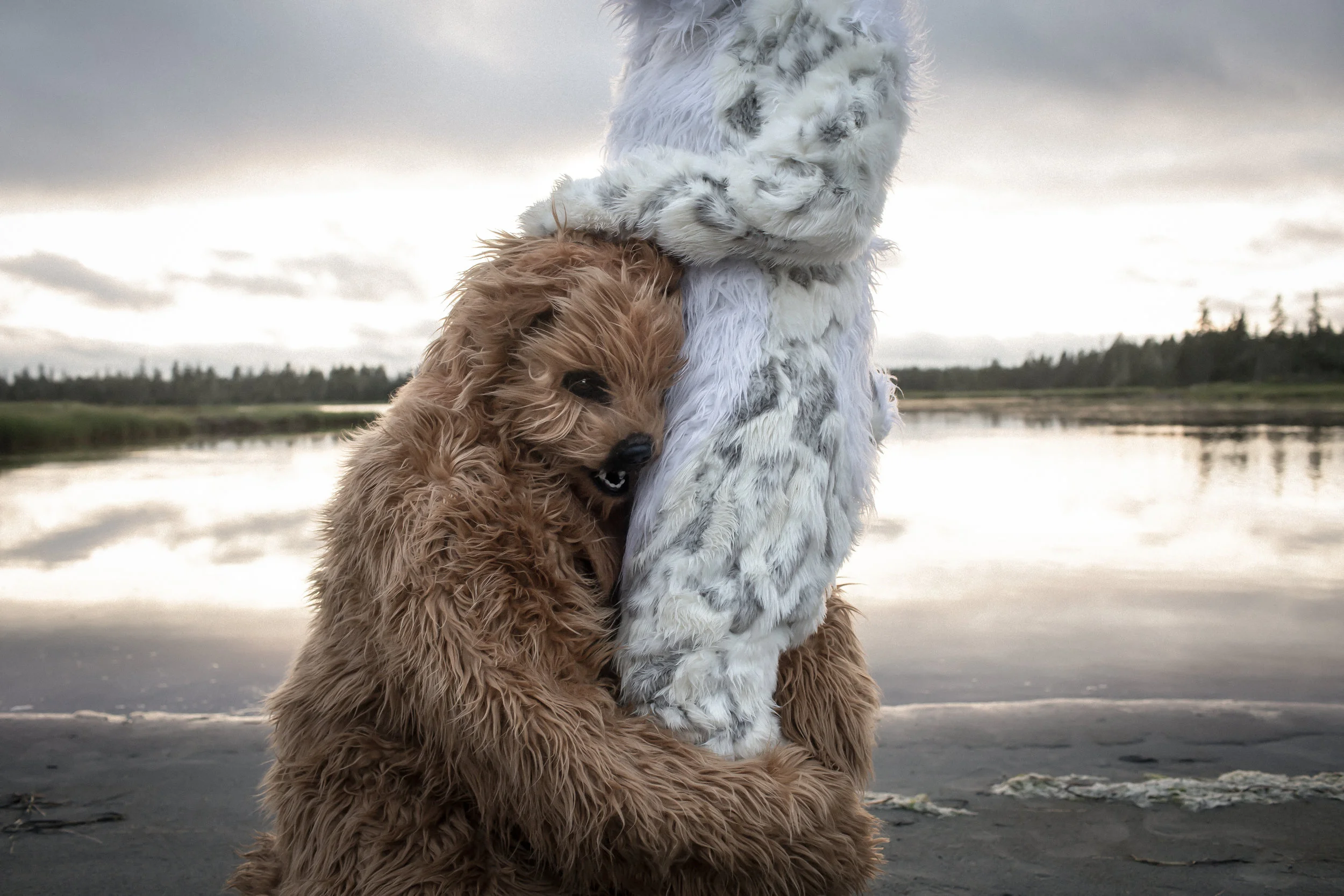 Soft Stories - Gitana Rosa Gallery