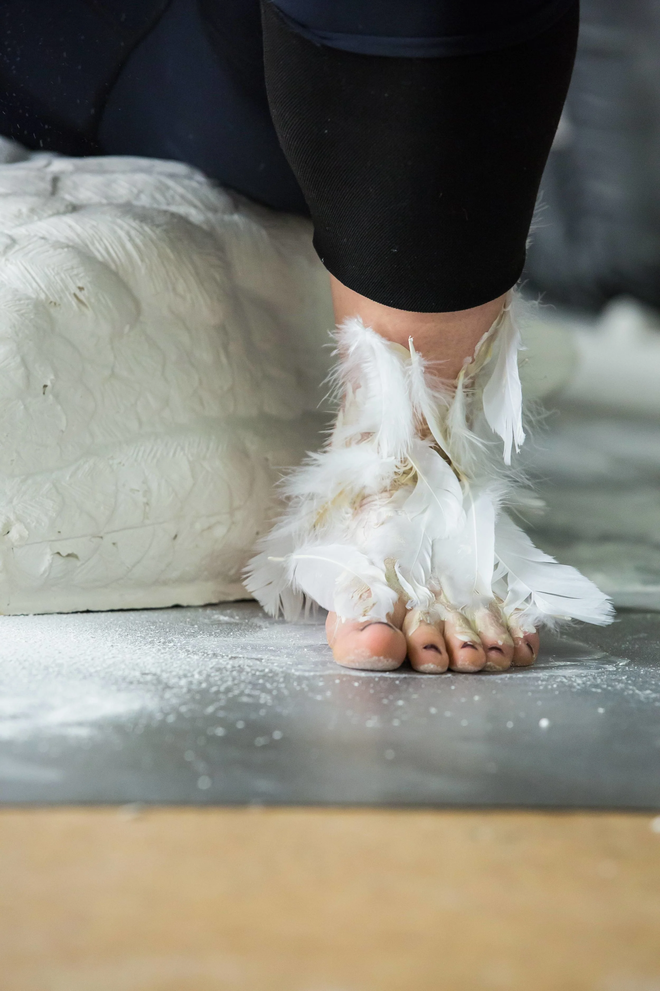 Heidi Wiren Bartlett