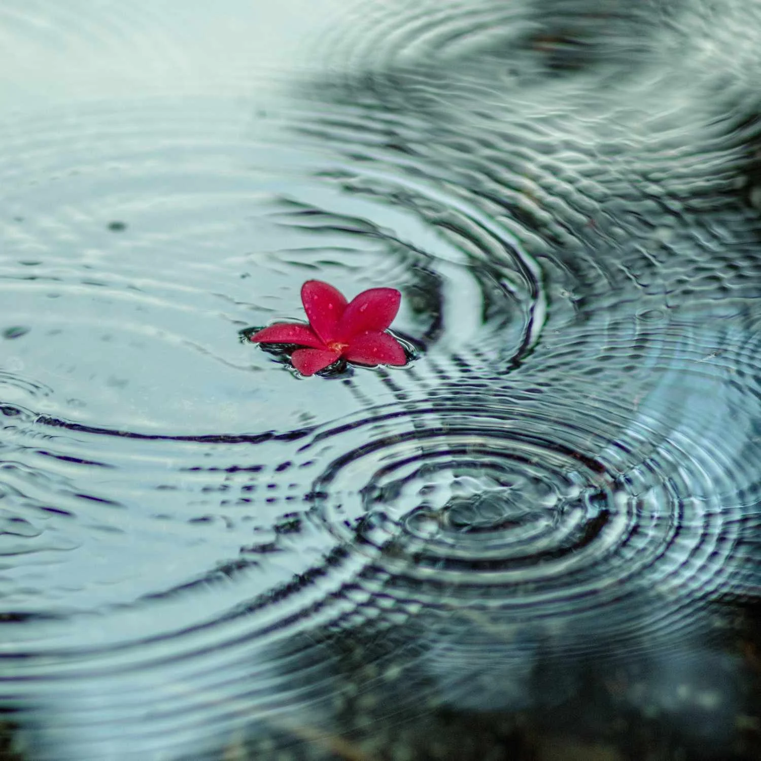 The Ripple Effect — Intention Therapy