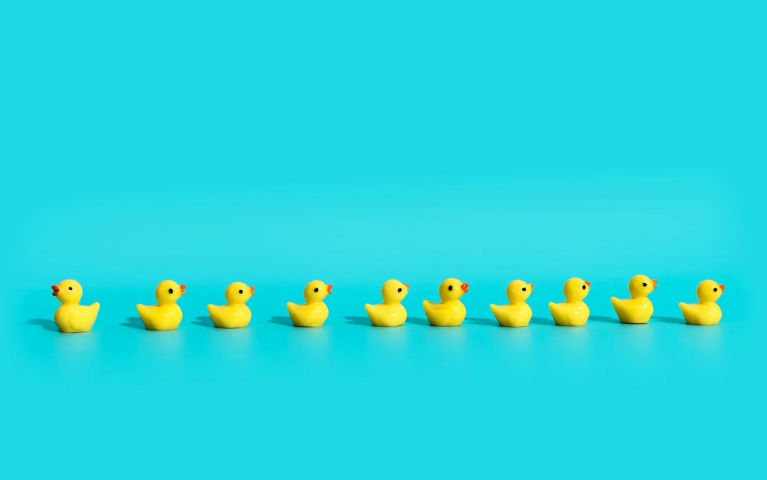 What Does Alignment Mean to You? — Intention Therapy