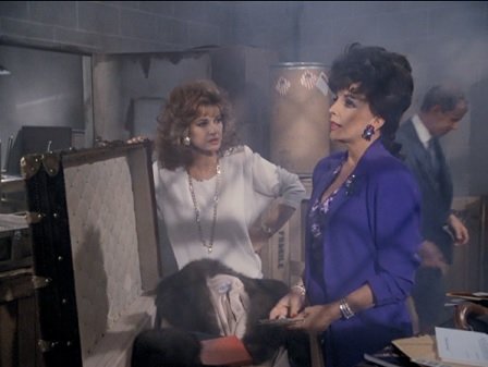 Dynasty Storyline Hit: Alexis vs. Sable — You Miserable Bitch