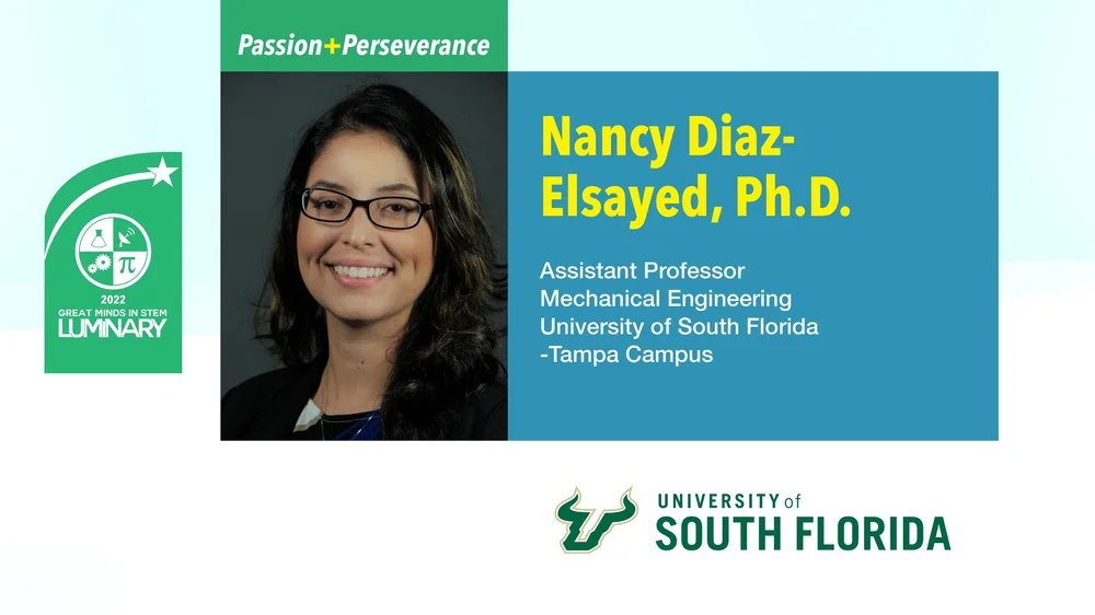 Nancy Diaz Elsayed — Technica Magazine