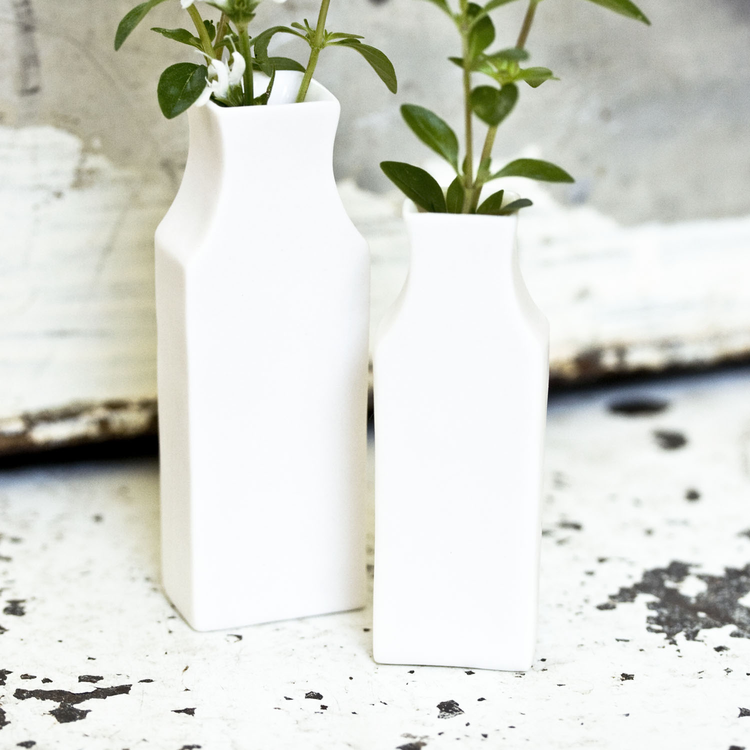 Isabelle Abramson porcelain