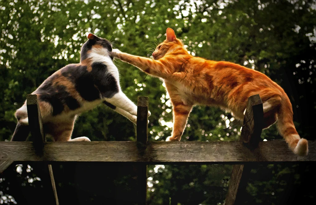 Type and Conflict — Building the Life You Want