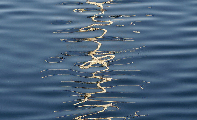 Ken Wilber's AQAL Integral Theory Map — Building the Life You Want LLC