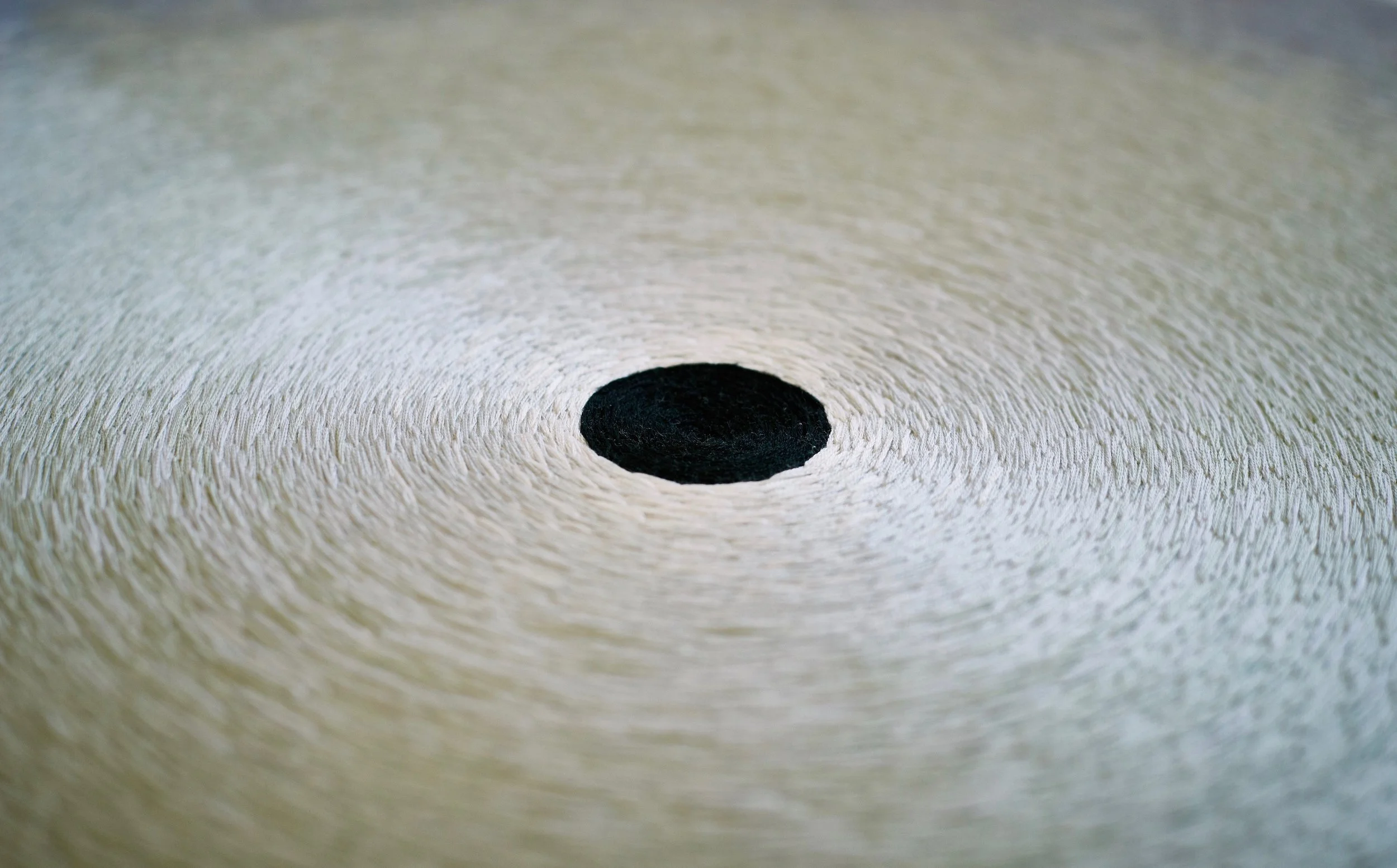 Shadow Thing — Anna McDowell©