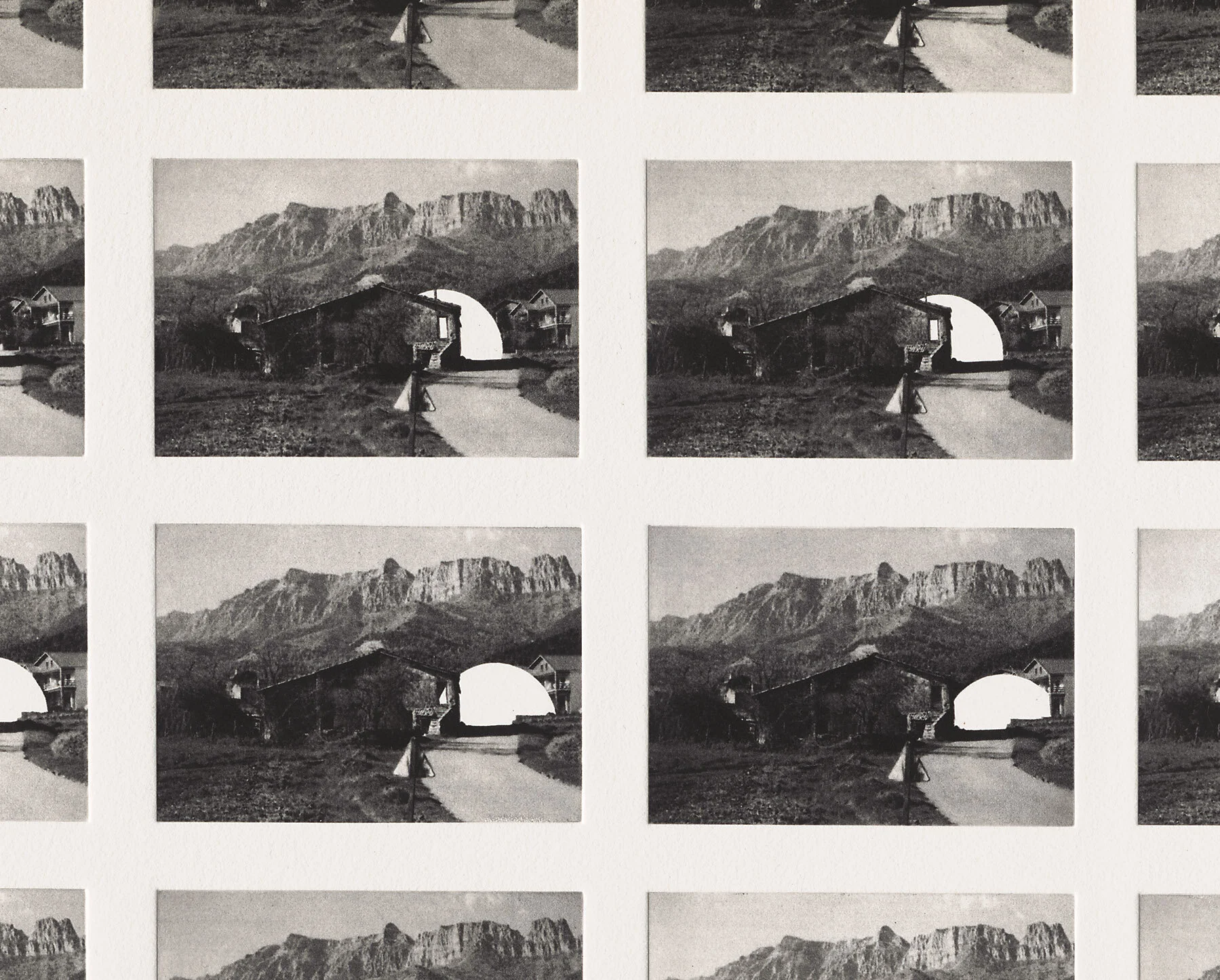 Locus — Anna McDowell©