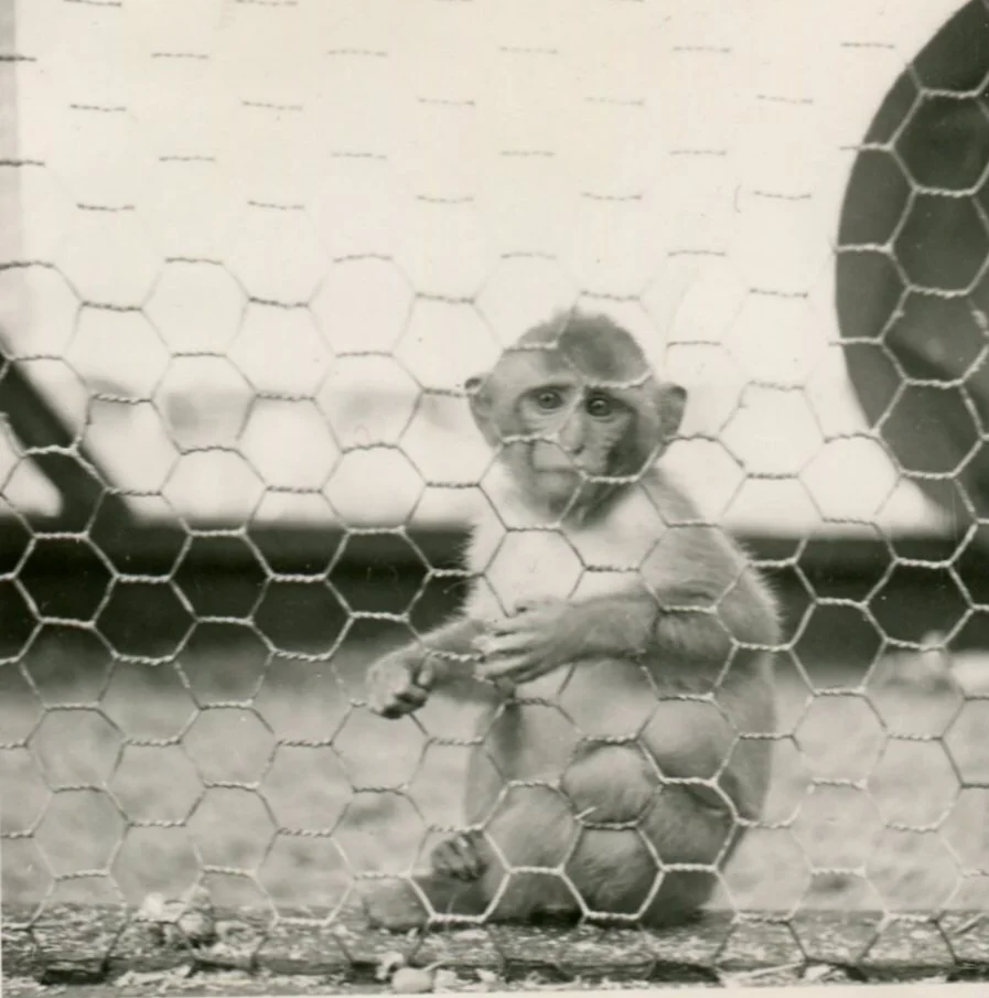 Albert County 175 - Photo A Day 2020 - March 29, 2020 — Albert County ...