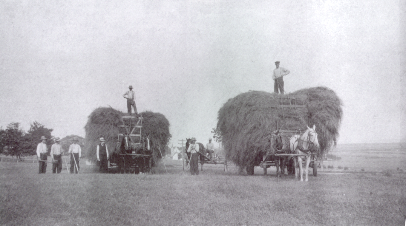 Albert County 175 - Photo A Day 2020 - Aug 4, 2020 — Albert County ...