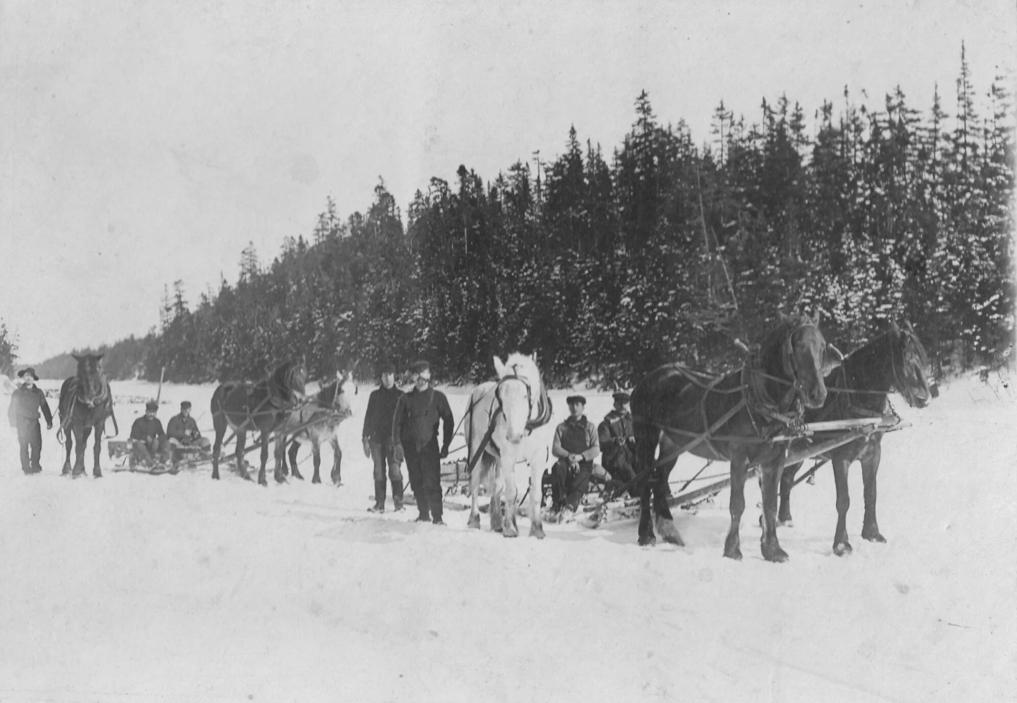 Albert County 175 - Photo A Day 2020 - December 24, 2020 — Albert ...