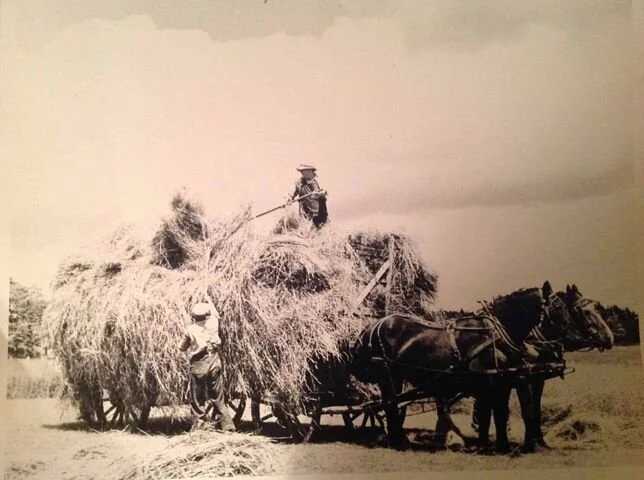 Albert County 175 - Photo A Day 2020 - December 26, 2020 — Albert ...