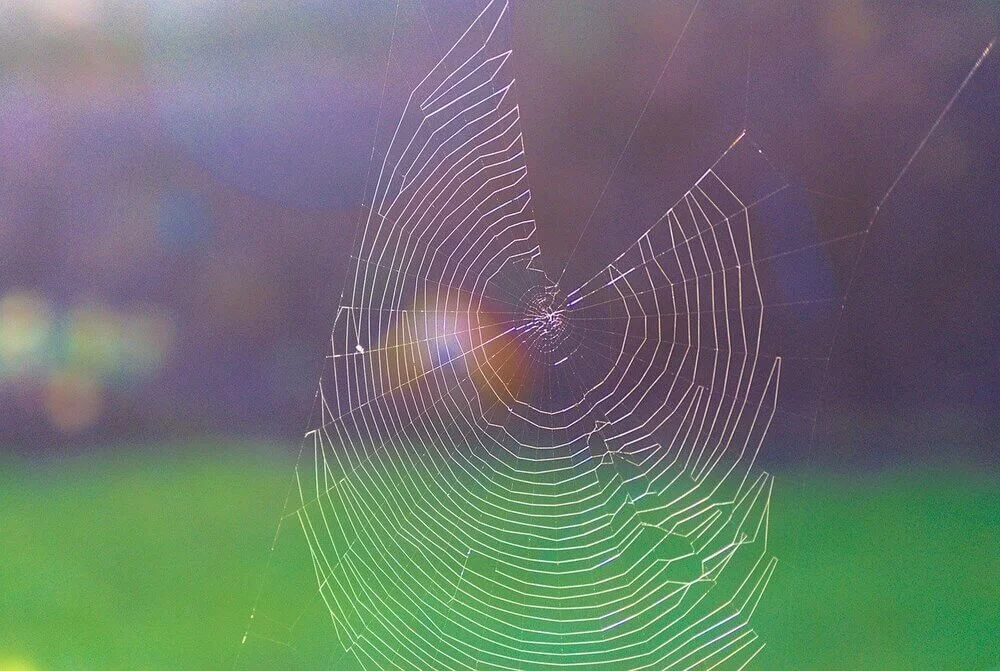 Sensing Spirit: Goosebumps, Spiderwebs, And Heat Sensations — Amanda ...