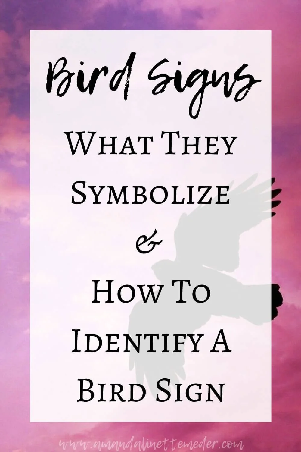 What Bird Signs Symbolize & How To Identify A Bird Sign — Amanda ...