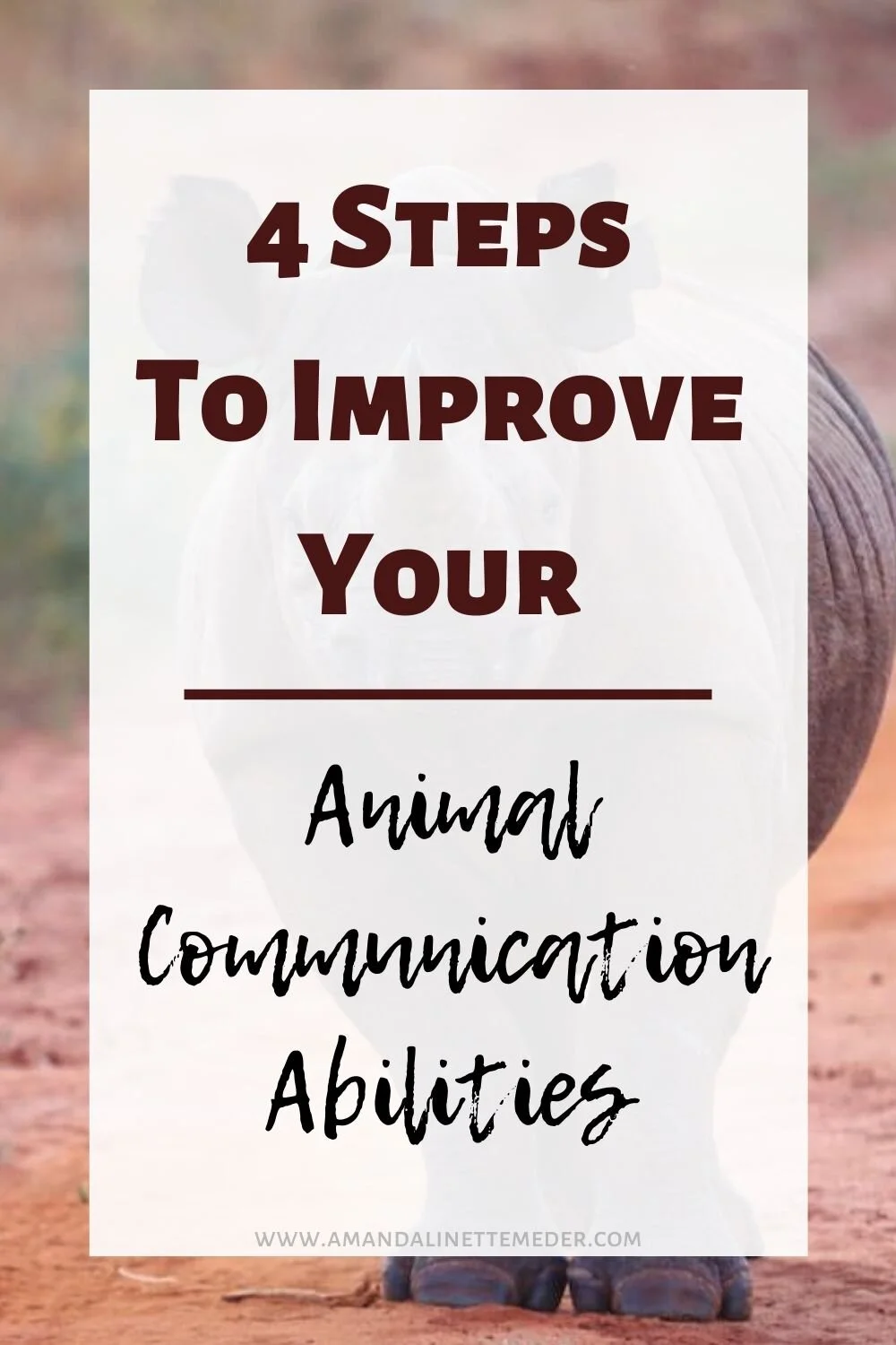 4 Tips To Improve Your Animal Communication Abilities — Amanda Linette ...