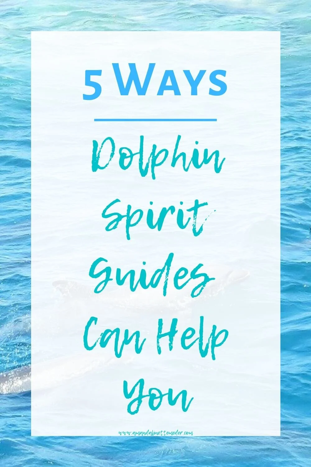 5 Ways Dolphin Spirit Guides Can Help You — Amanda Linette Meder