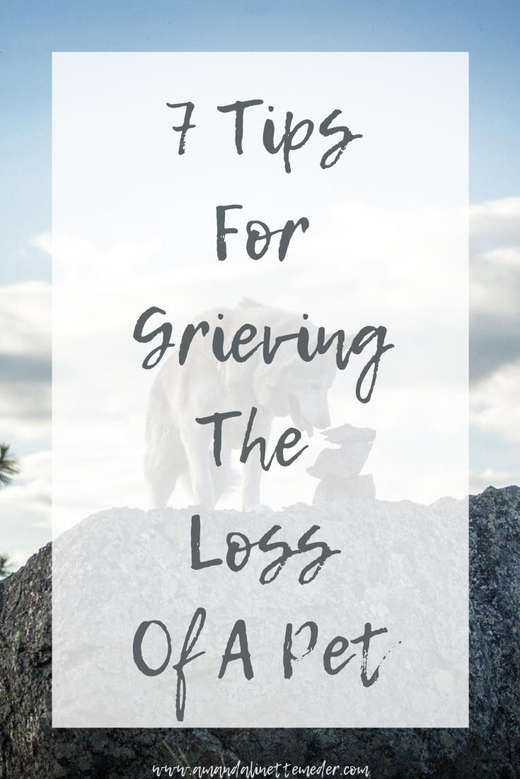 7 Tips For Grieving The Loss Of A Pet — Amanda Linette Meder