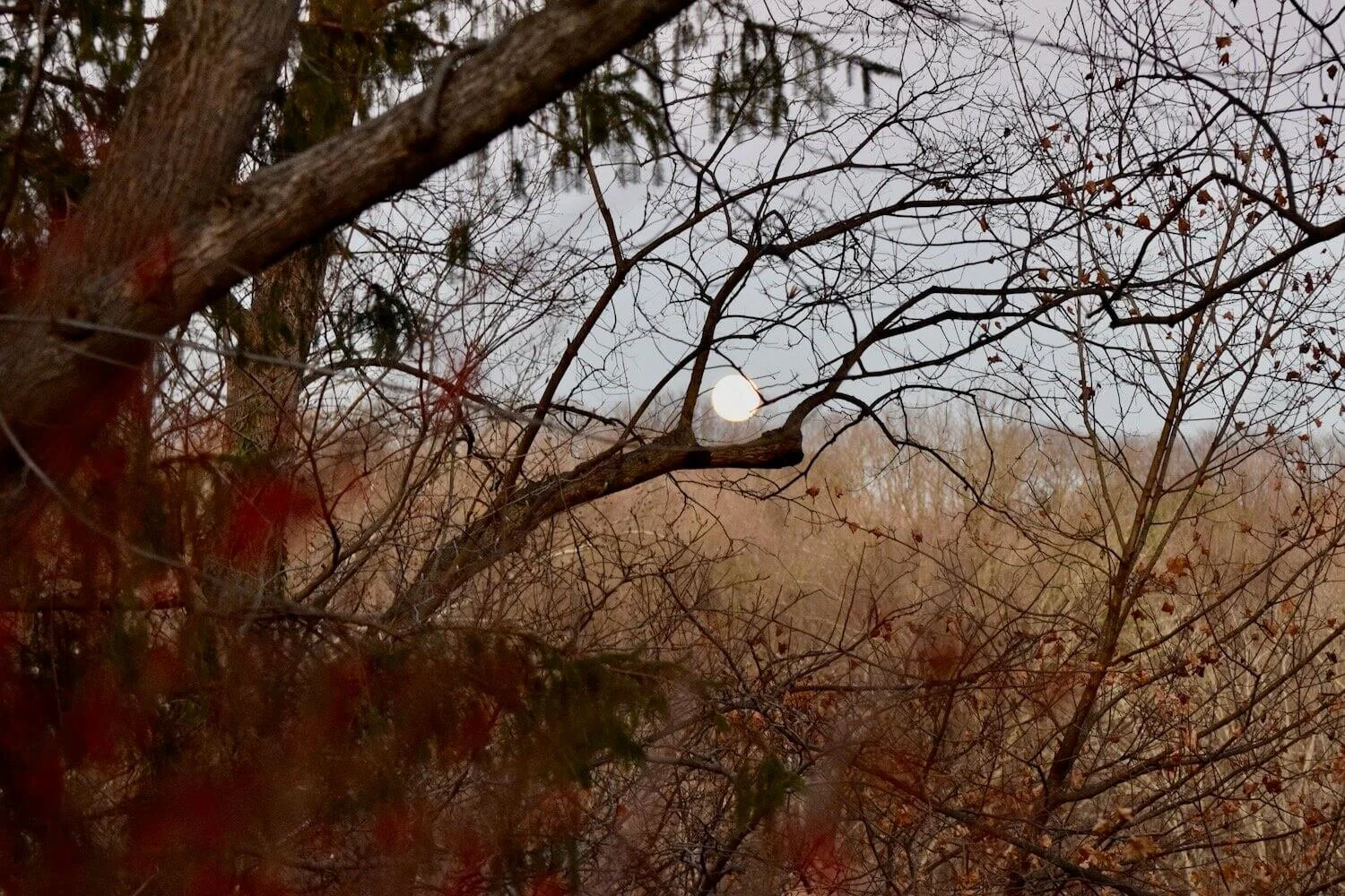 How The Full Moon Affects Psychic Abilities — Amanda Linette Meder