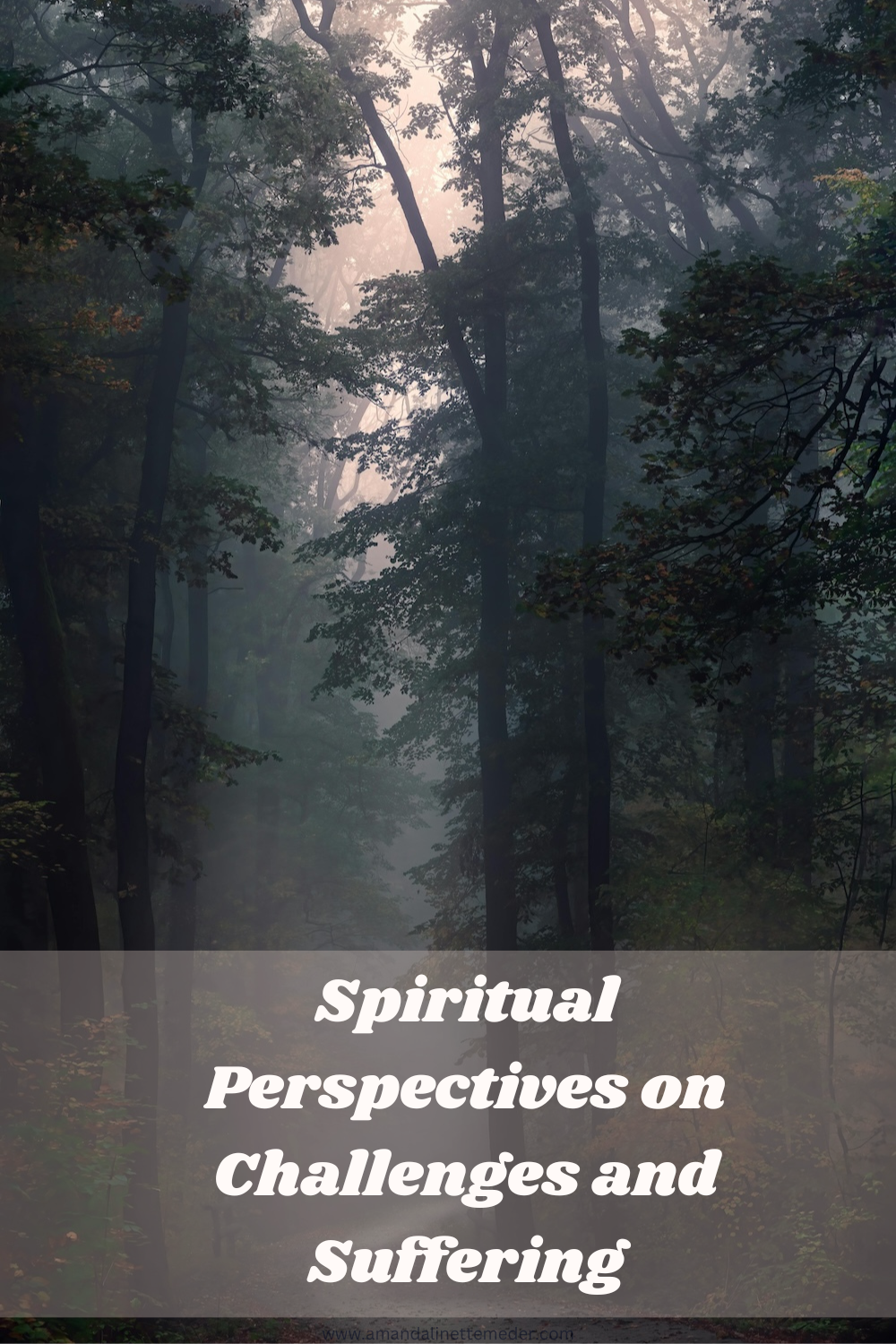 Spiritual Perspectives on Challenges and Suffering — Amanda Linette Meder