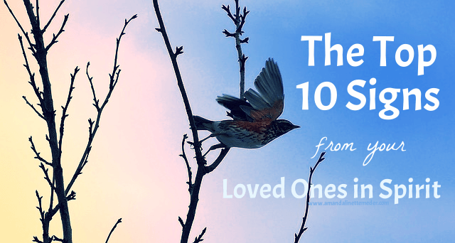 10 Most Common Signs From Your Deceased Loved Ones — Amanda Linette Meder