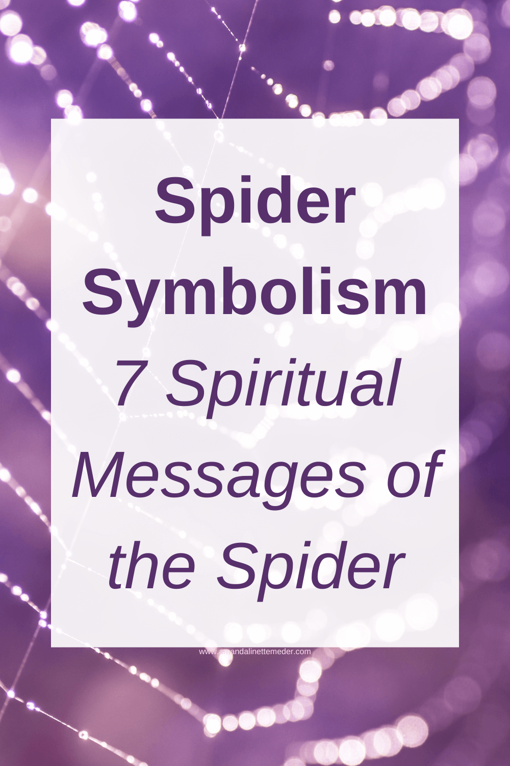 Spider Symbolism: 7 Spiritual Messages of the Spider — Amanda Linette Meder