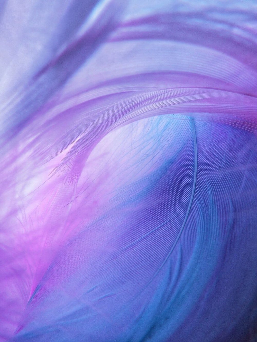 Angels & Colors: 7 Most Common Angel Light Colors Symbolism — Amanda ...