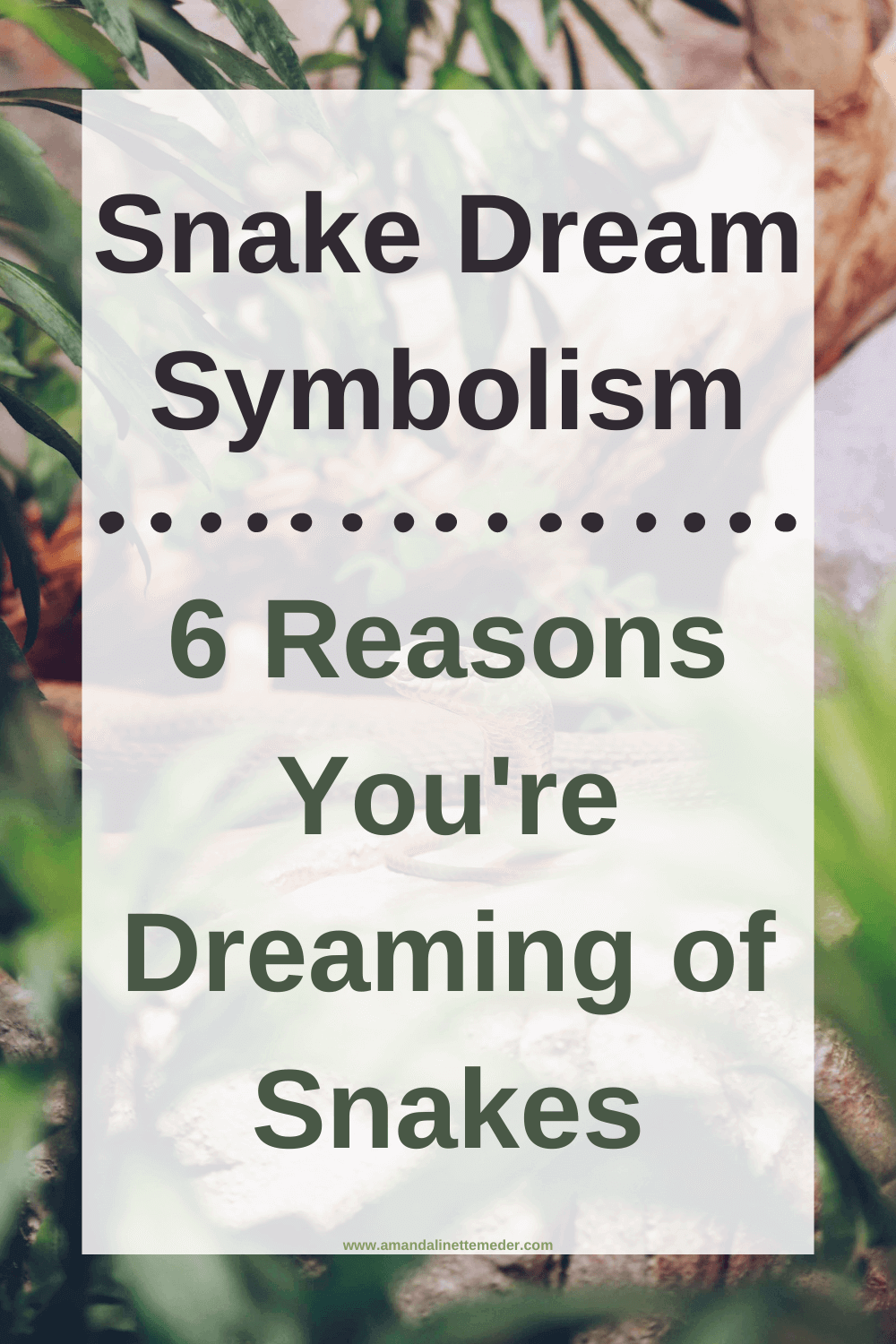 Snake Dream Symbolism: 6 Reasons You're Dreaming of Snakes