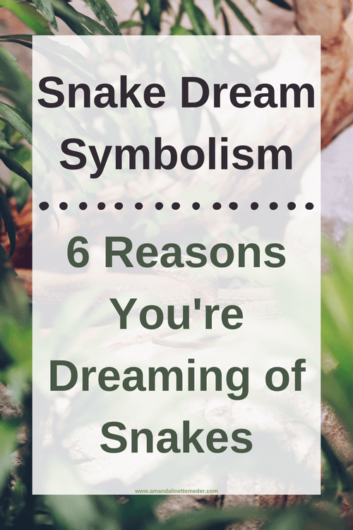 Snake Dream Symbolism: 6 Reasons You're Dreaming of Snakes