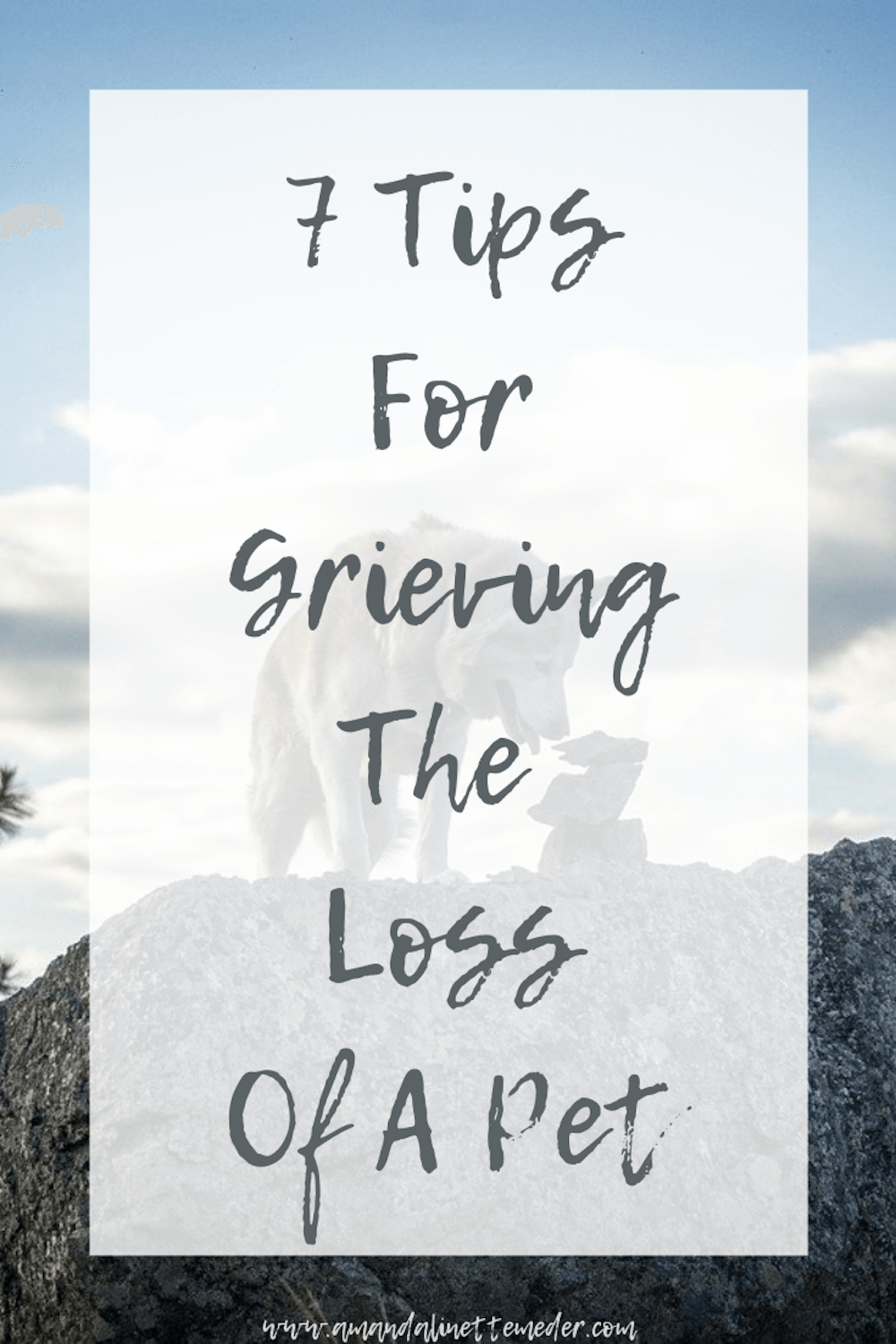 7 Tips For Grieving The Loss Of A Pet