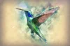 Hummingbird Symbolism: 8 Spiritual Meanings of Hummingbirds — Amanda ...